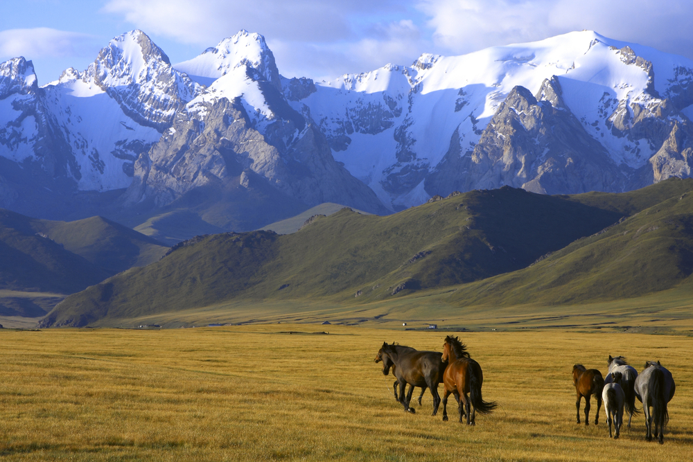 Top five travel experiences around the world