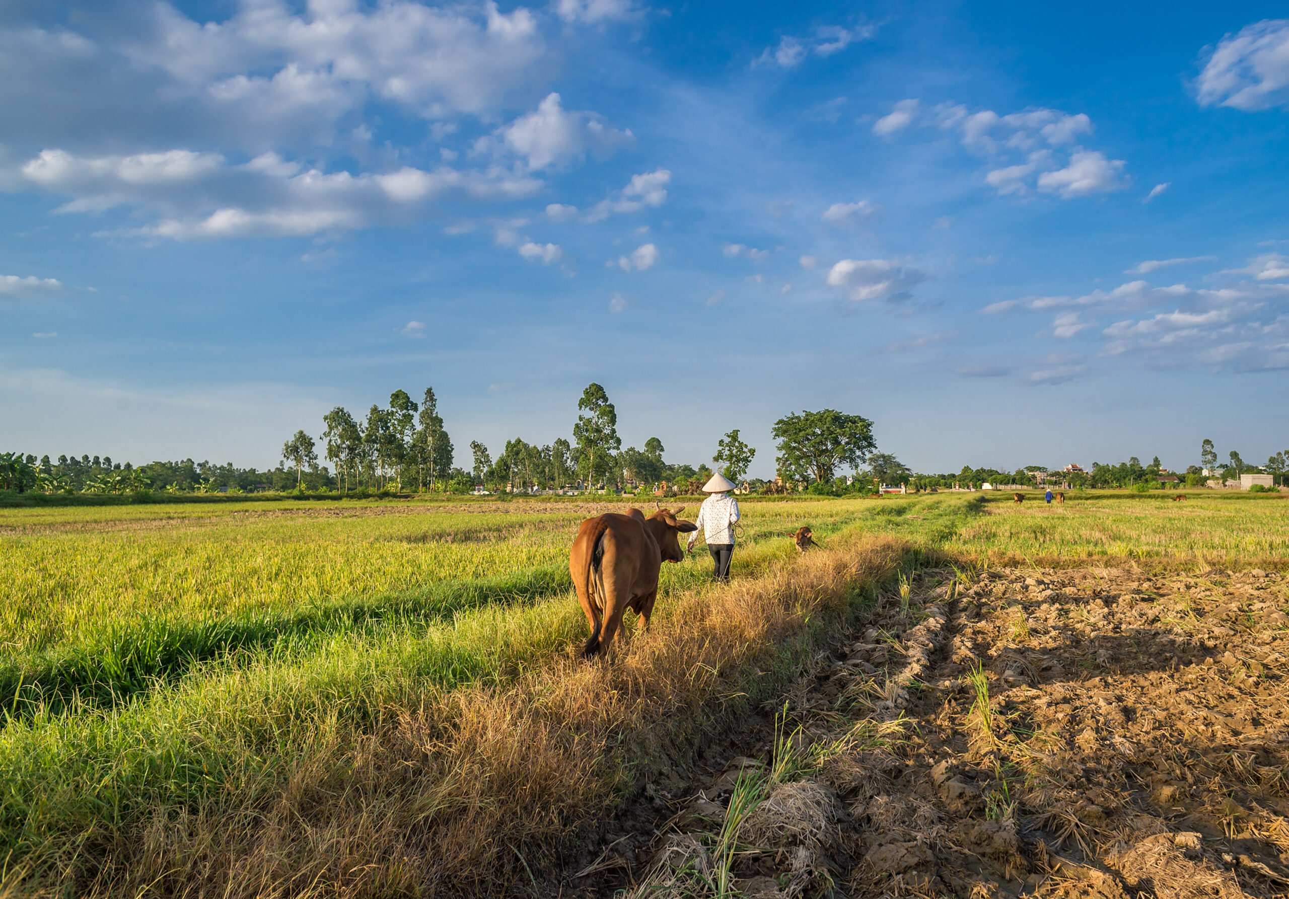 Top remote and rural destinations around the world