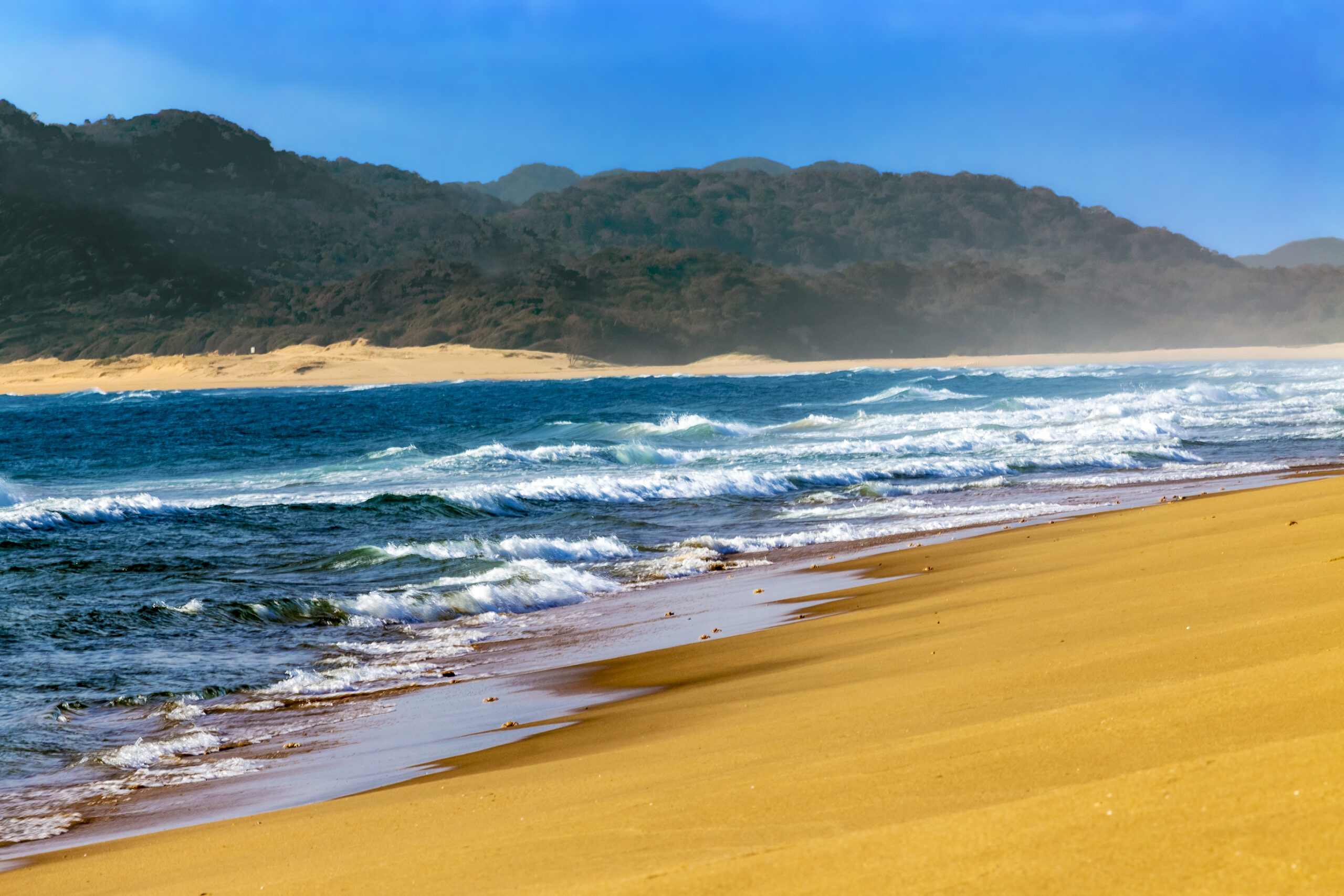Live like a local on the Elephant Coast