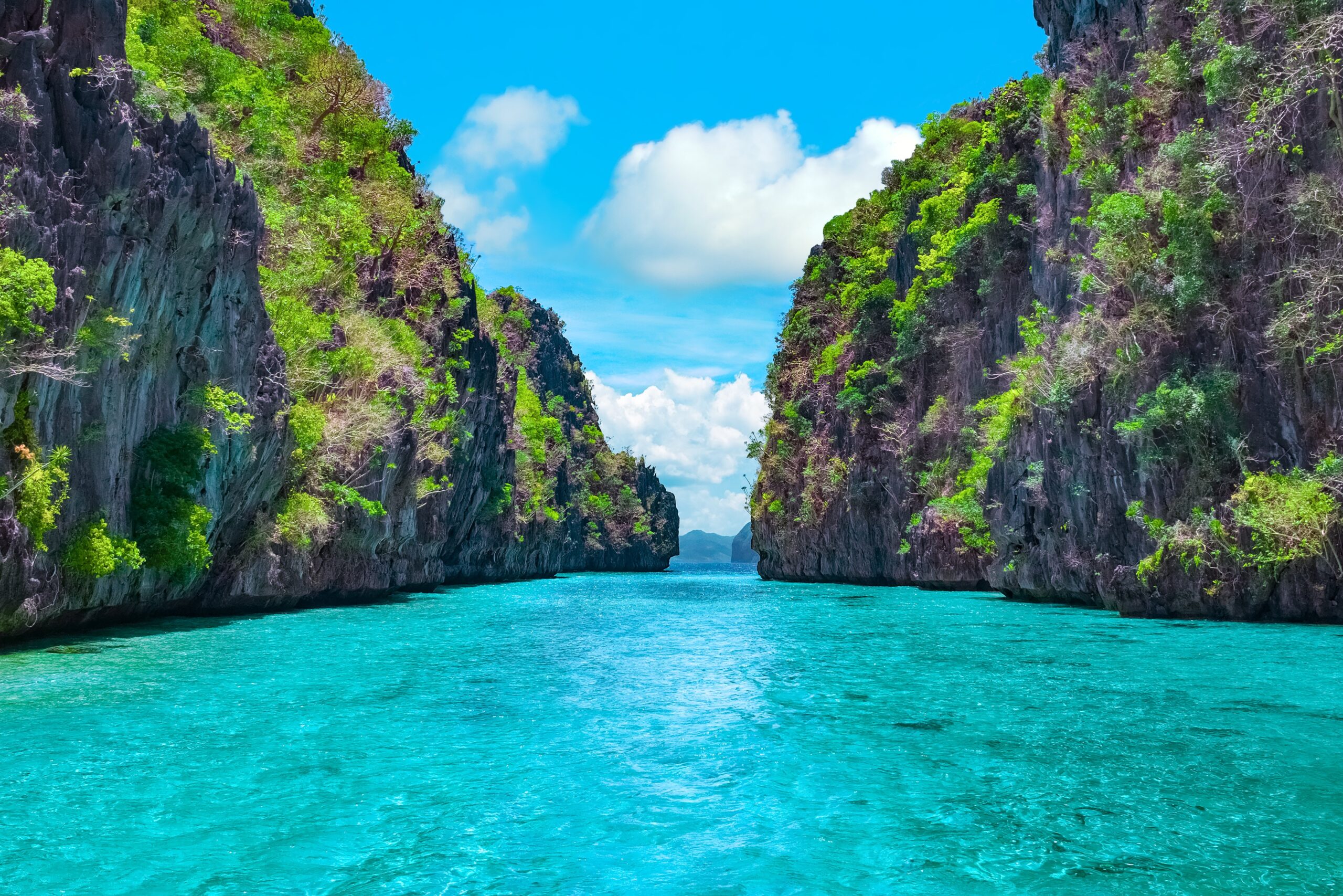 Take your family to the Philippines