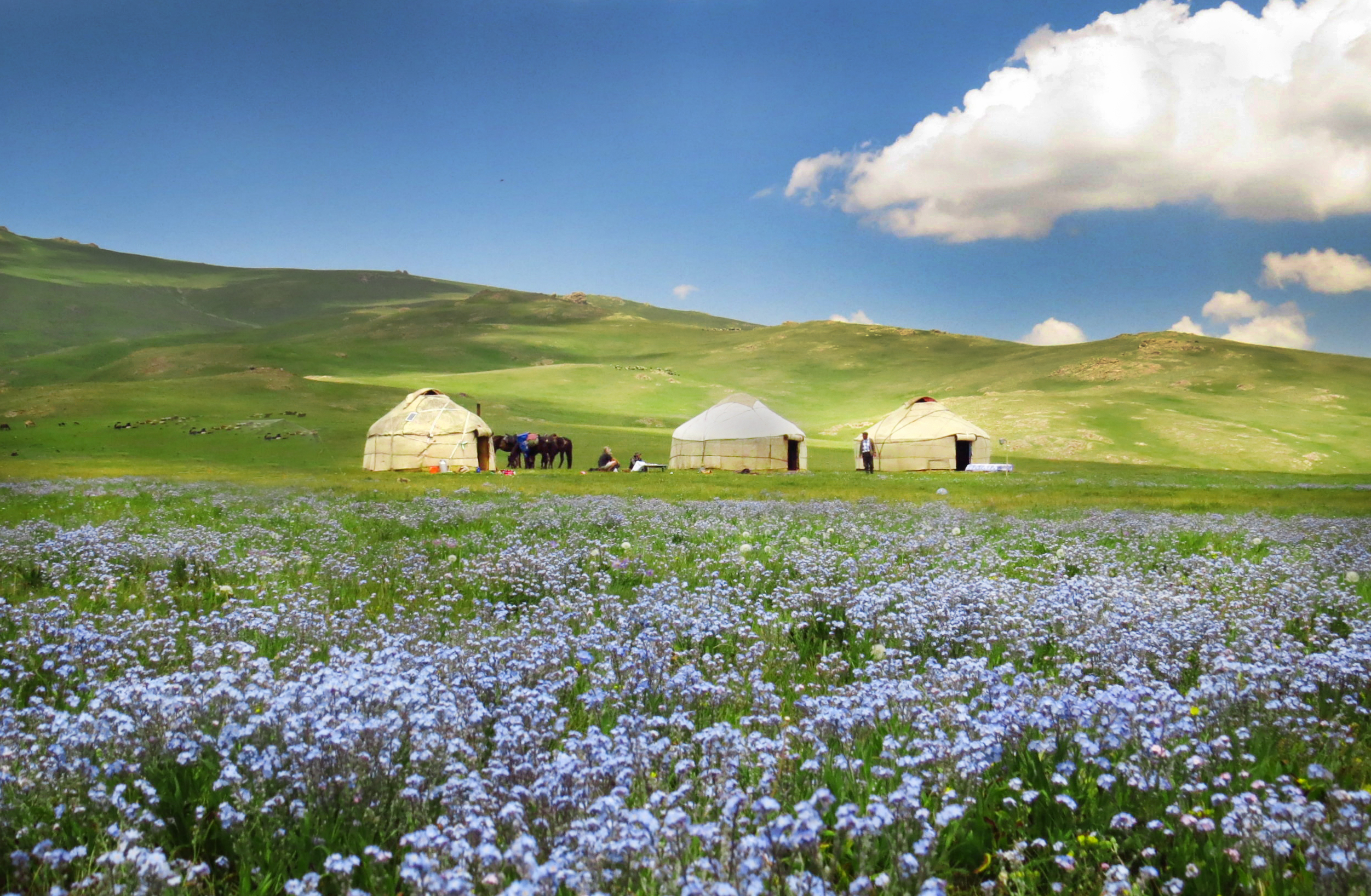 The cultural highlights of Kyrgyzstan