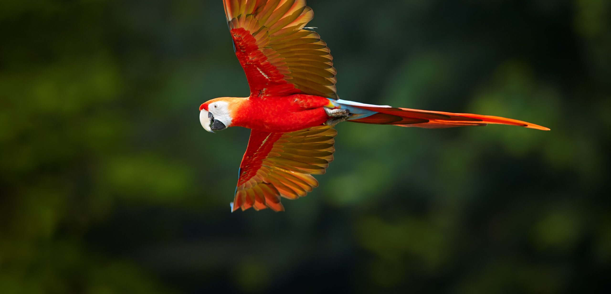 The highlights of visiting Brazil