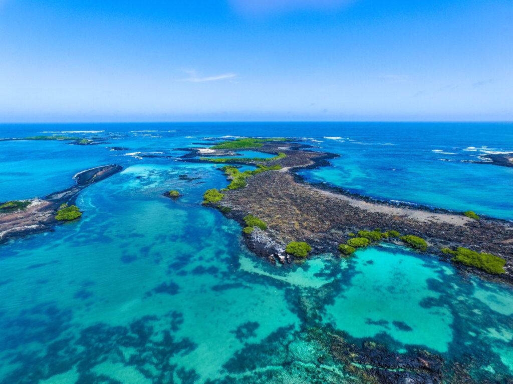 The Galapagos Islands: wildlife and historic wonder