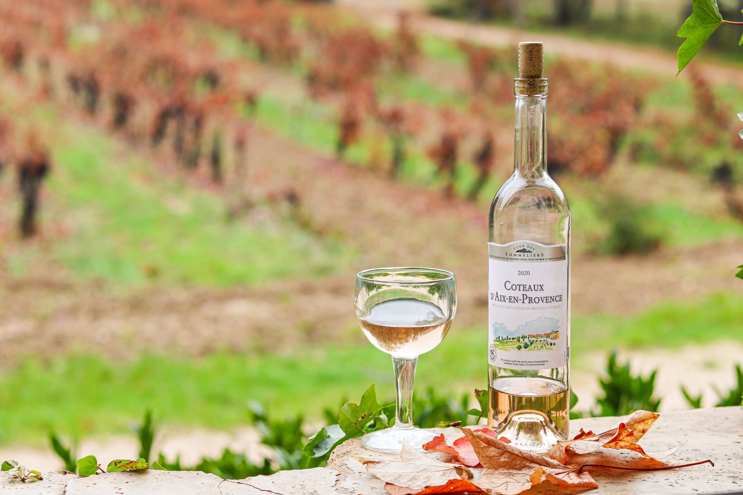 Provence to Porto Venere: a wine-lover’s Mediterranean summer