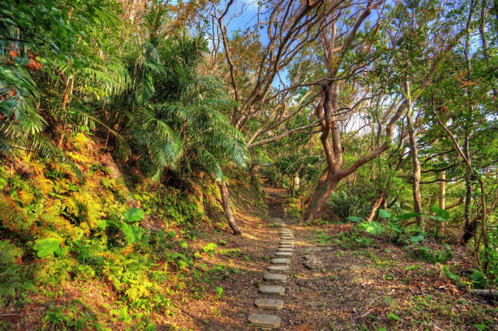 A traveler’s guide to Okinawa, land of longevity