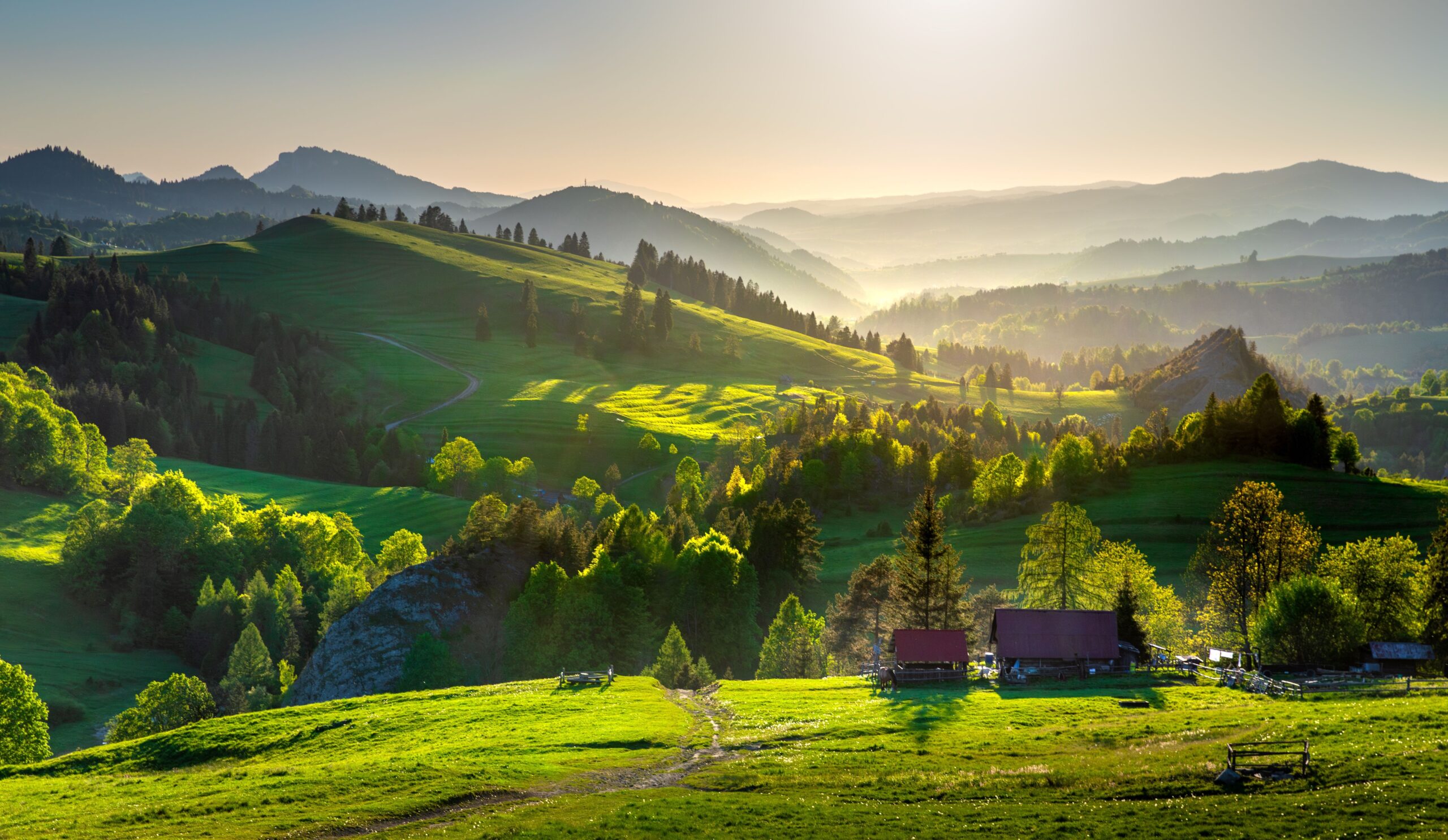 A beginner’s guide to Poland